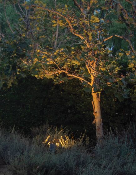 Liton | AG2340 | 4" Round Spot/Flood Light - Wall/Ceiling/Ground/Tree ...