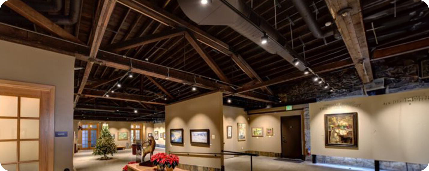 Track Lighting | Liton Lighting